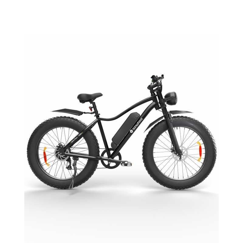 ISINWHEEL M10Plus - Vélo à assistance électrique 250W (+750W) 48V 13AH